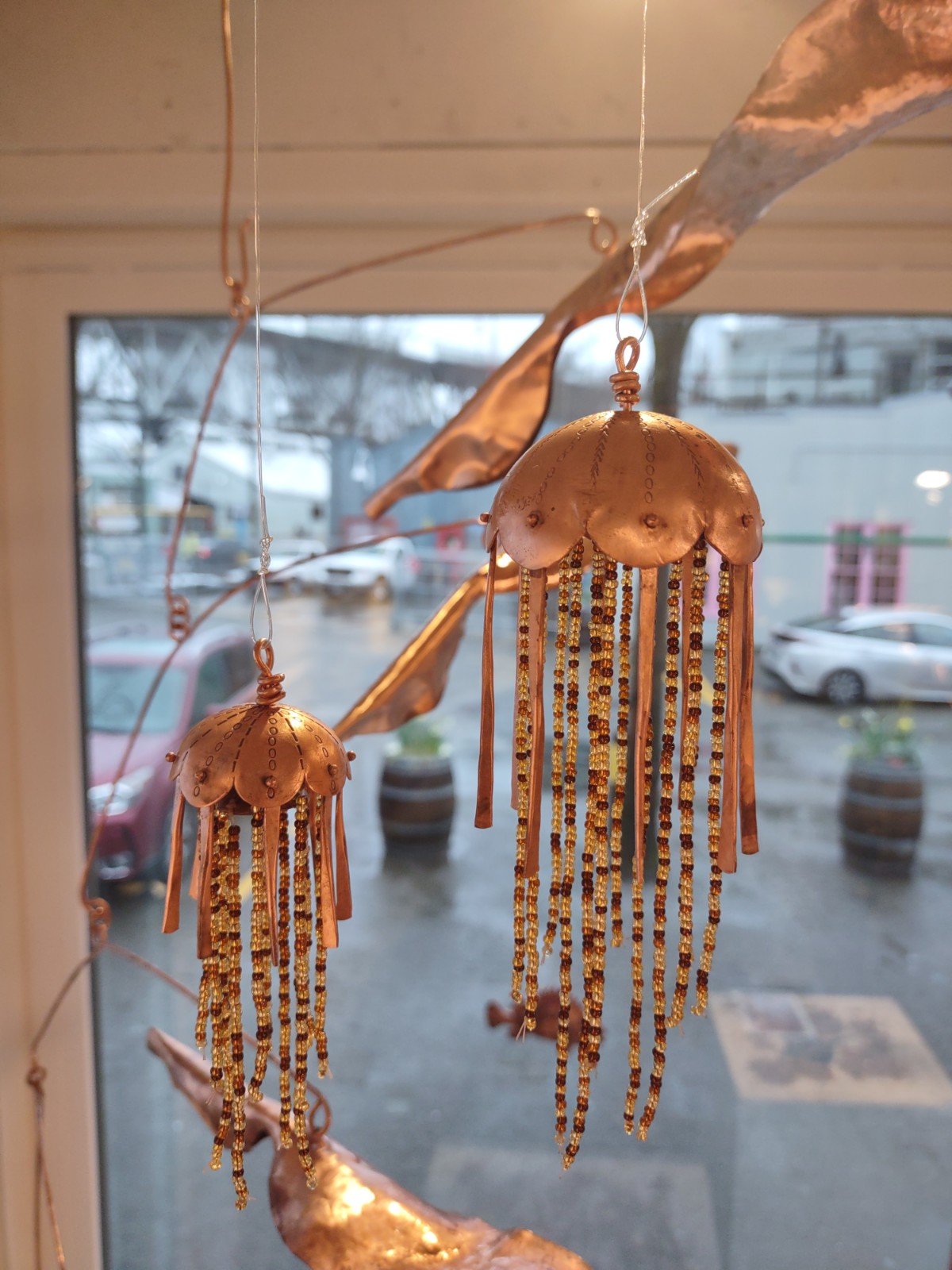 why a kelp forest? - Craft Council of British Columbia