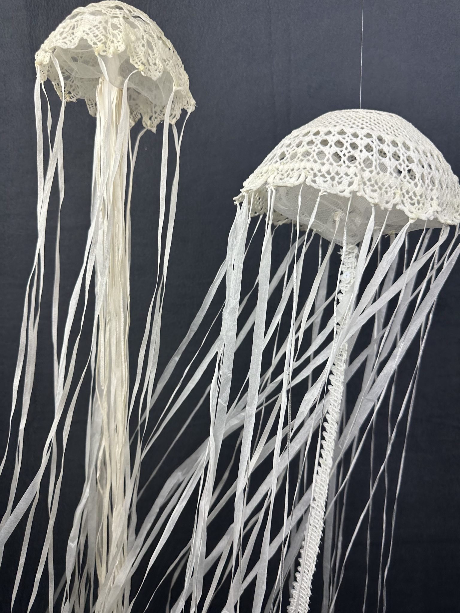 the jellyfish project - Craft Council of British Columbia